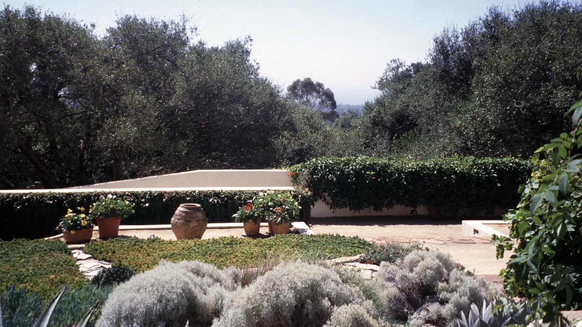 Isabelle Greene | TCLF