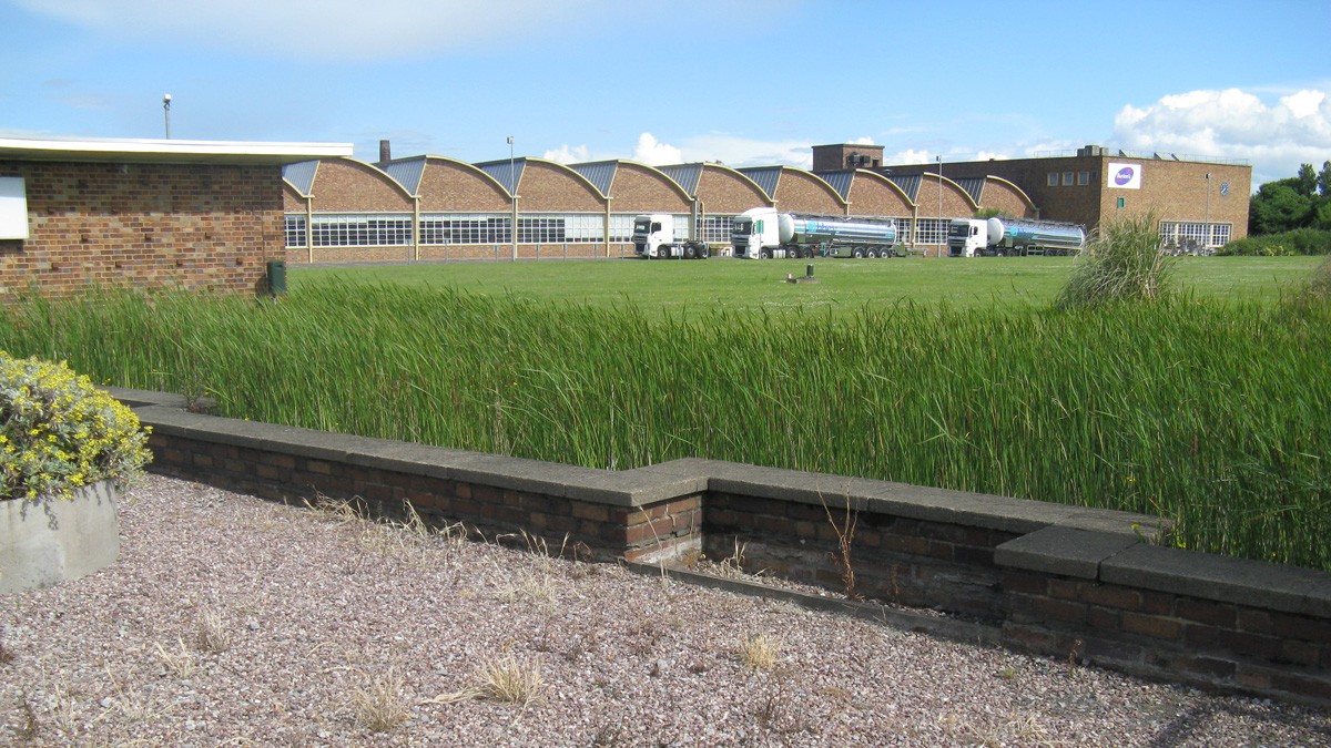 Jellicoe Gardens | TCLF