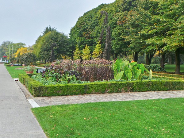 Centre Island | TCLF