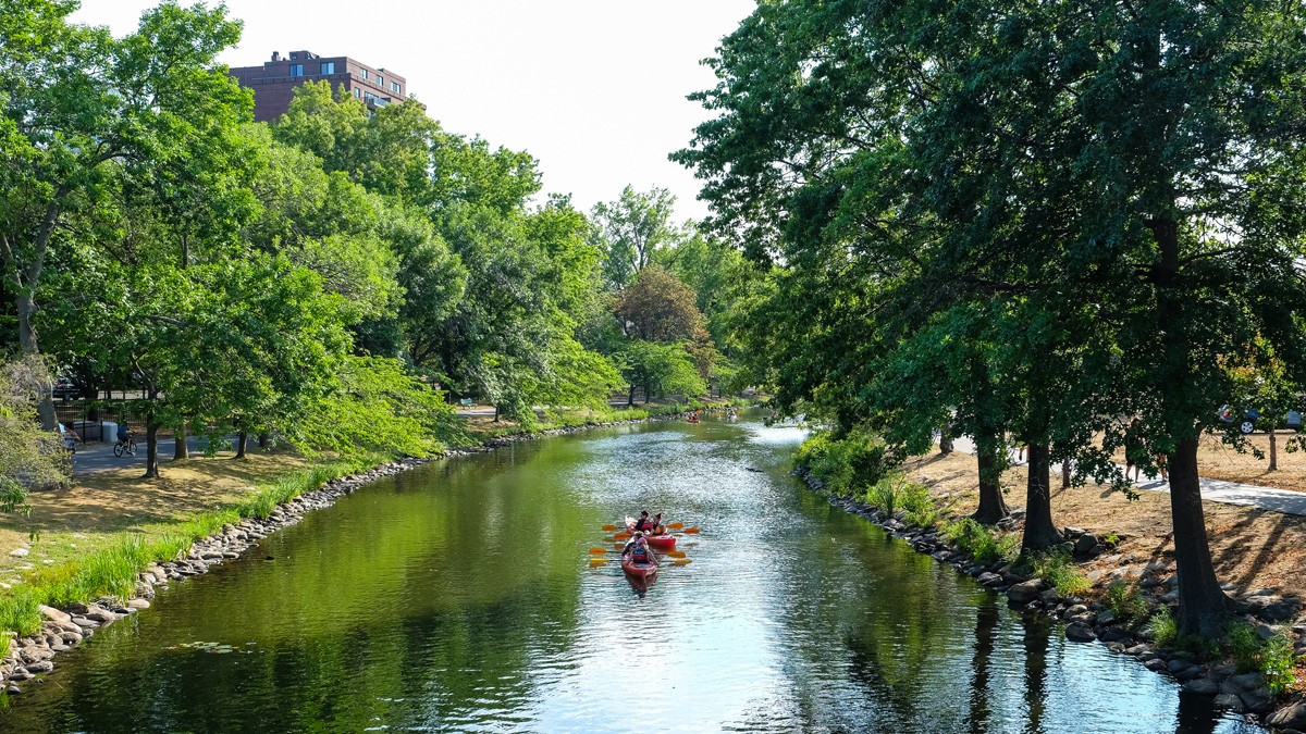 Charles River Esplanade Boats