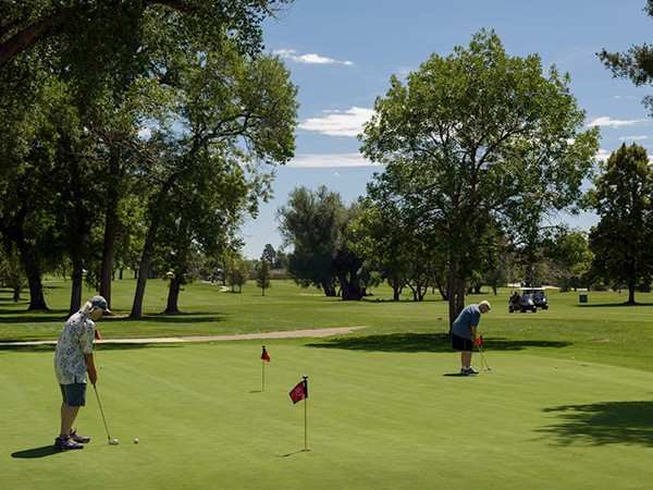 City Park Golf - Denver | TCLF