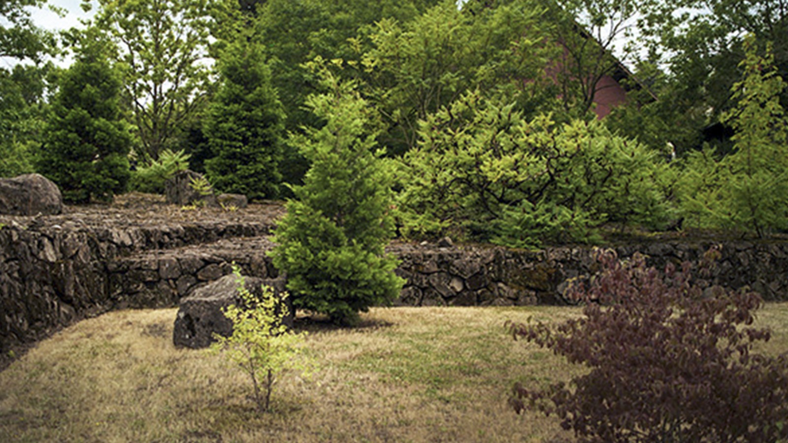 Robert Murase | TCLF