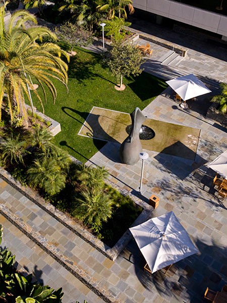 Colorado Center | TCLF