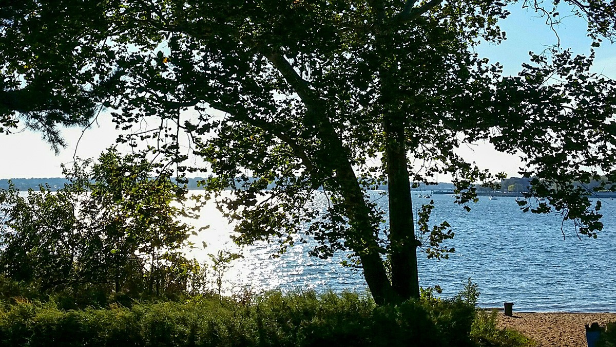 Conference House Park | TCLF