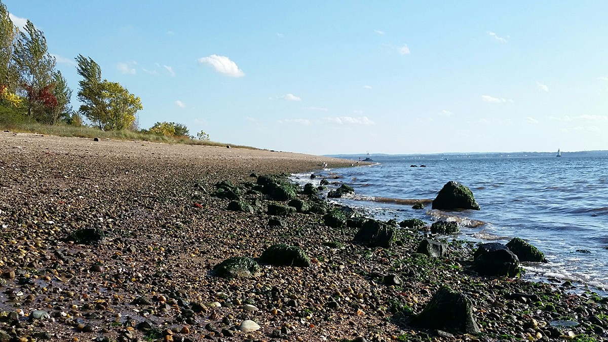 Conference House Park | TCLF