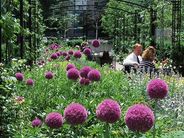 Courthouse Square - Toronto | TCLF