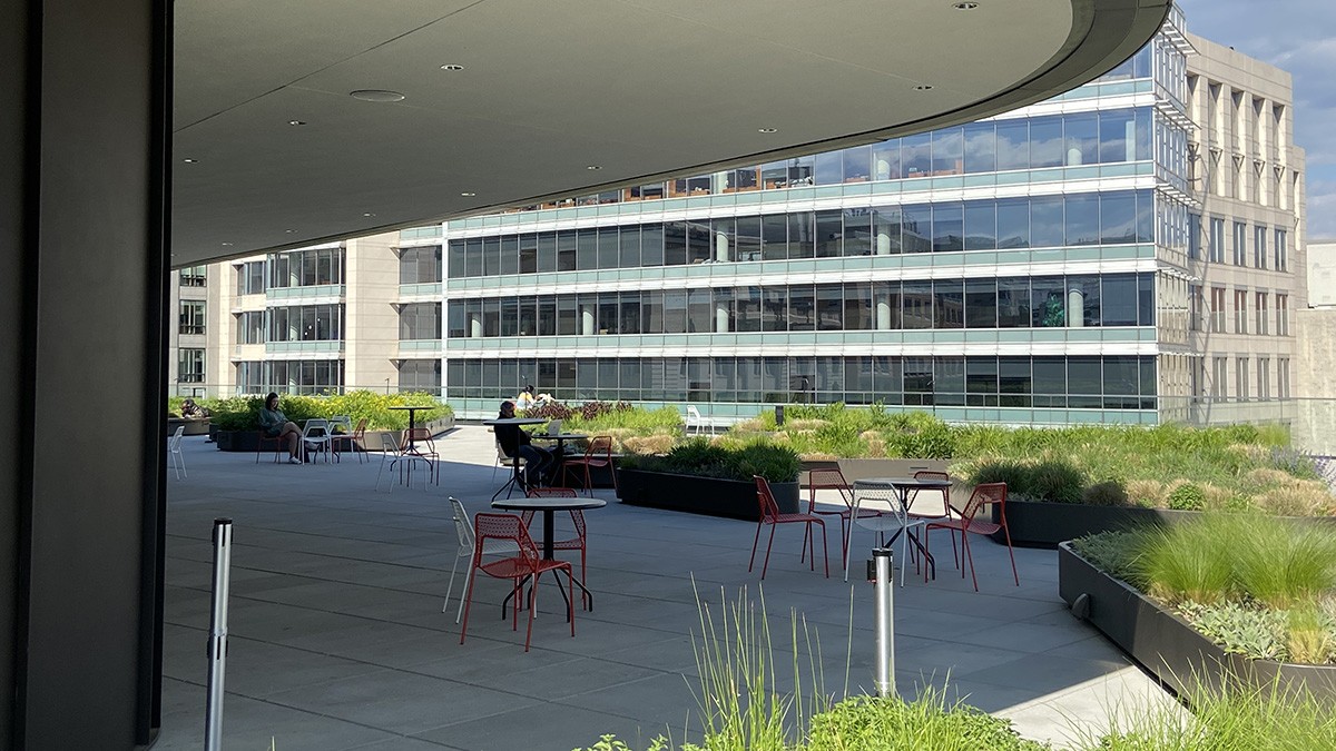 Martin Luther King, Jr. Library | TCLF