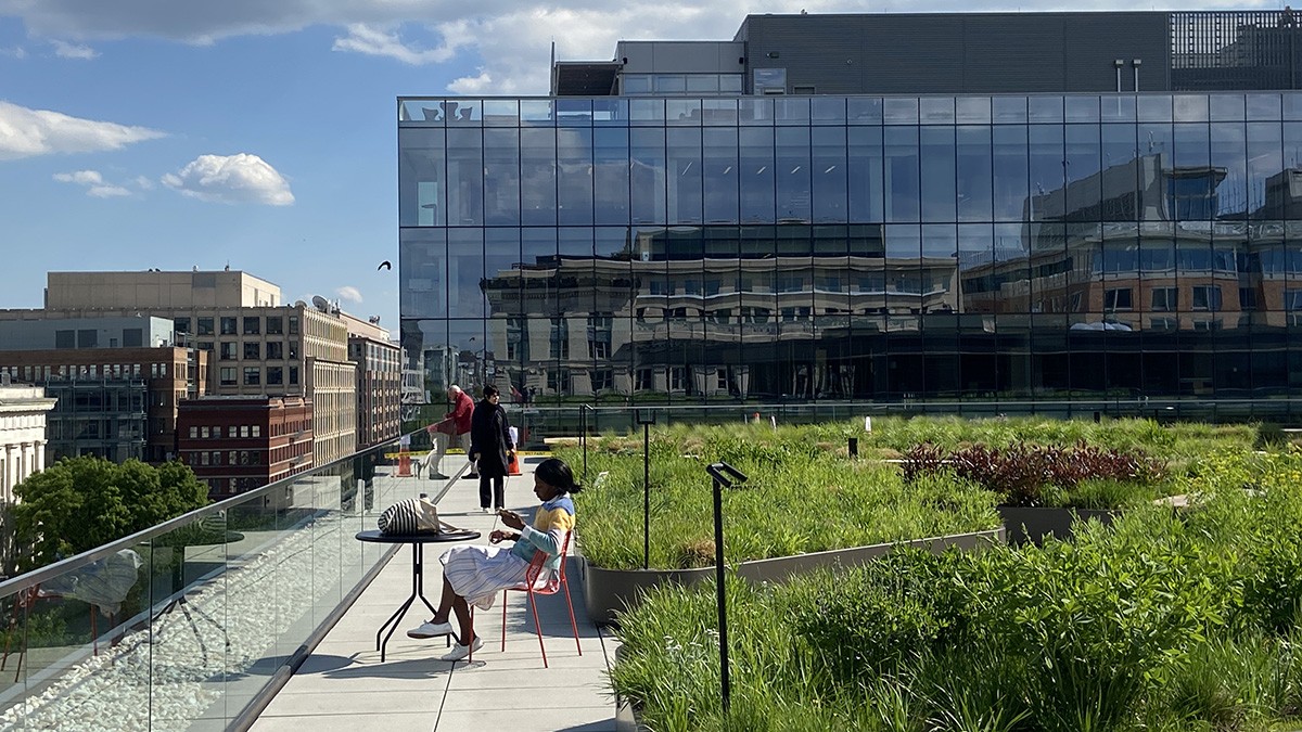 Martin Luther King, Jr. Library | TCLF