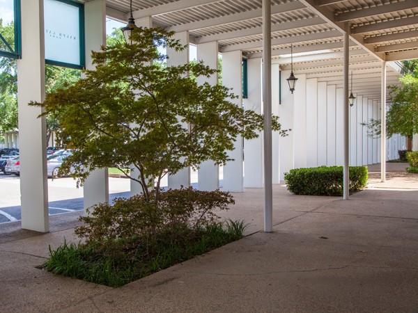 Decorative Center Dallas | TCLF