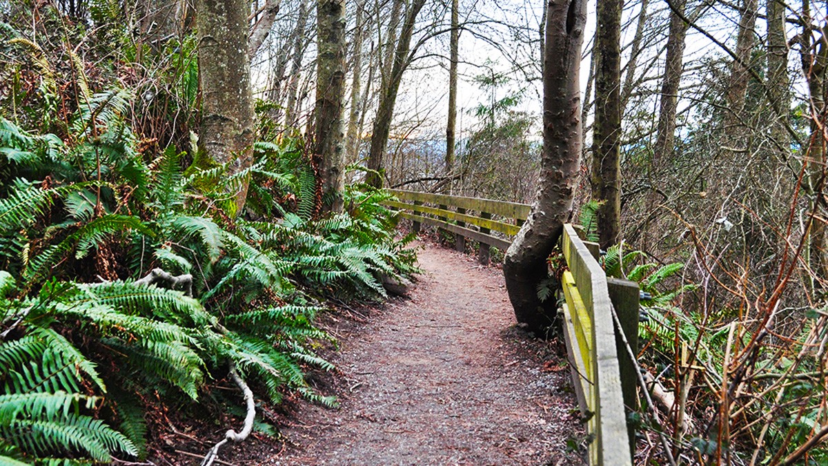 discovery nature park millington tn