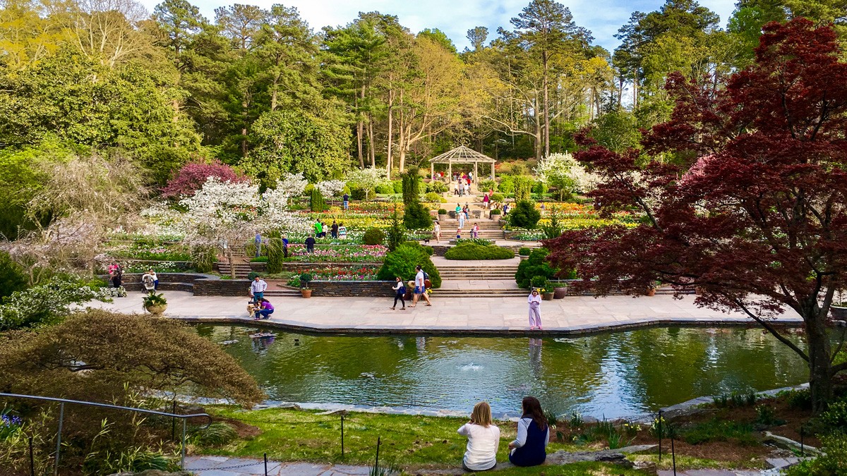 Duke University | TCLF