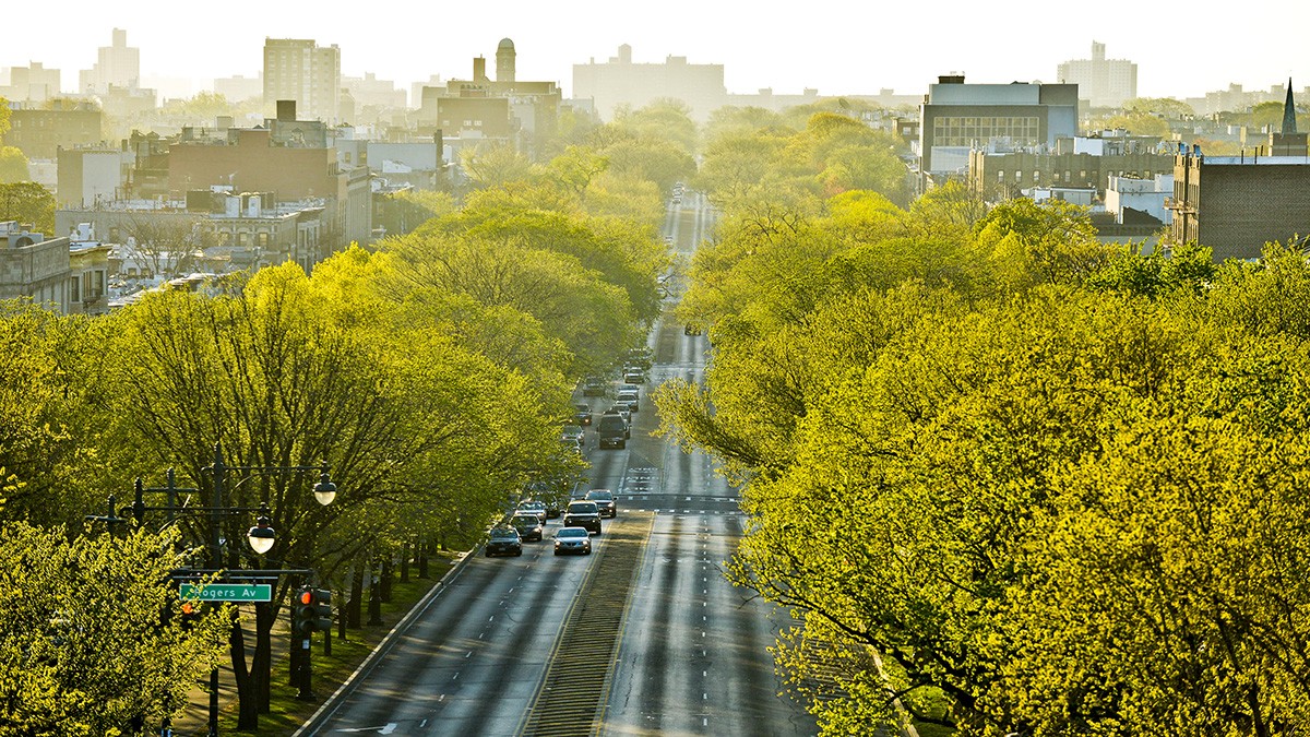 Eastern Parkway | TCLF