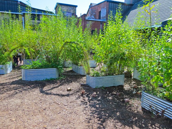 Evergreen Brick Works | TCLF