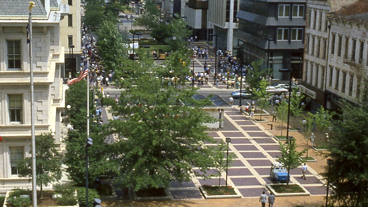 Lewis James Clarke | TCLF