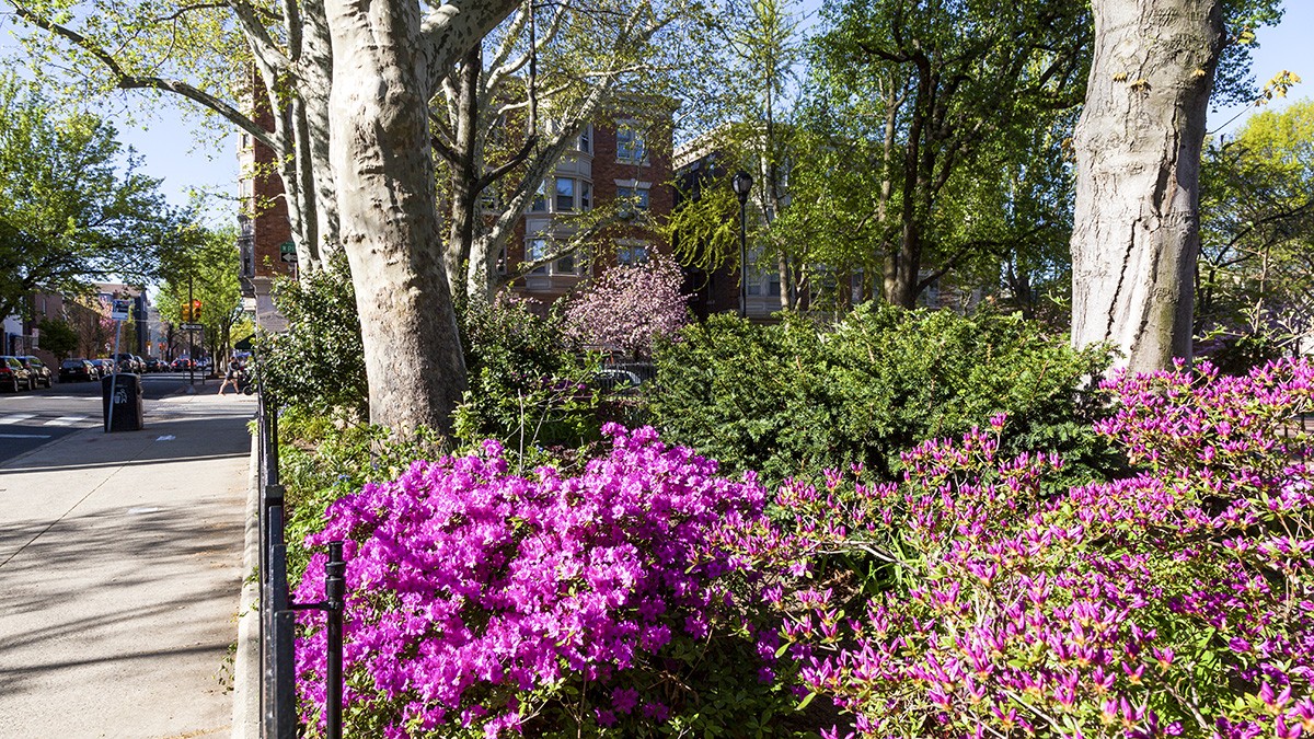 Fitler Square | TCLF