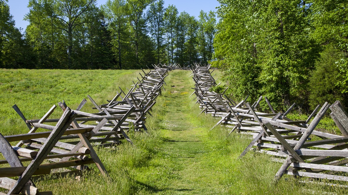 Gaines' Mill | TCLF