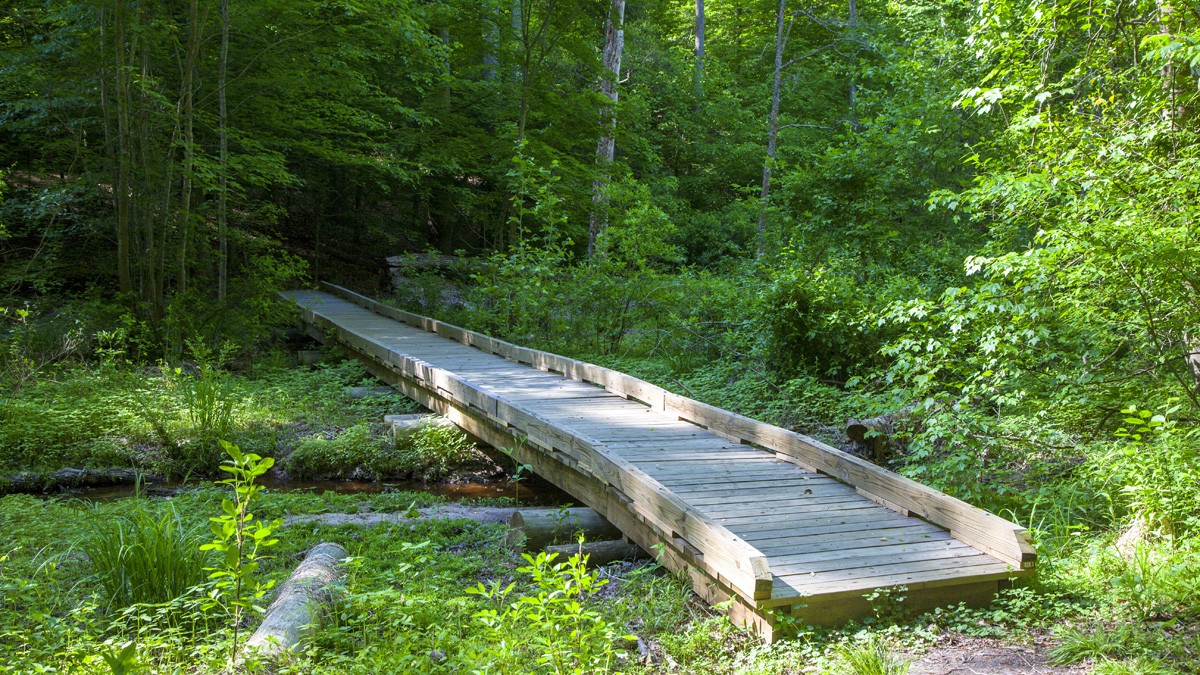 Gaines' Mill | TCLF