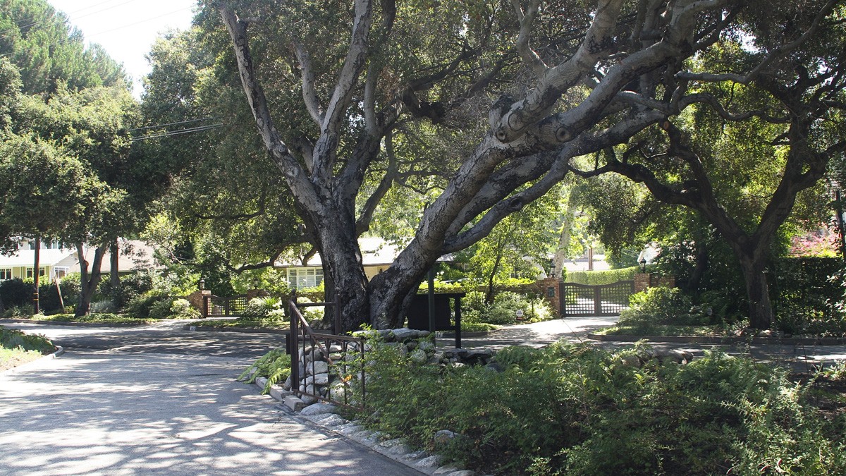 Isabelle Greene | TCLF