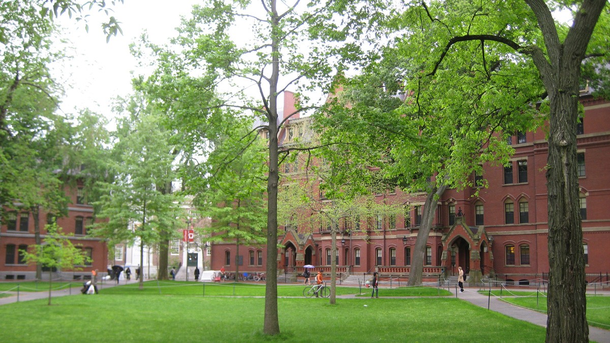 Harvard University | TCLF