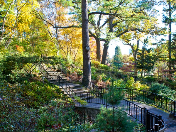 High Park | TCLF
