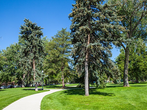 Highland Park - Denver | TCLF