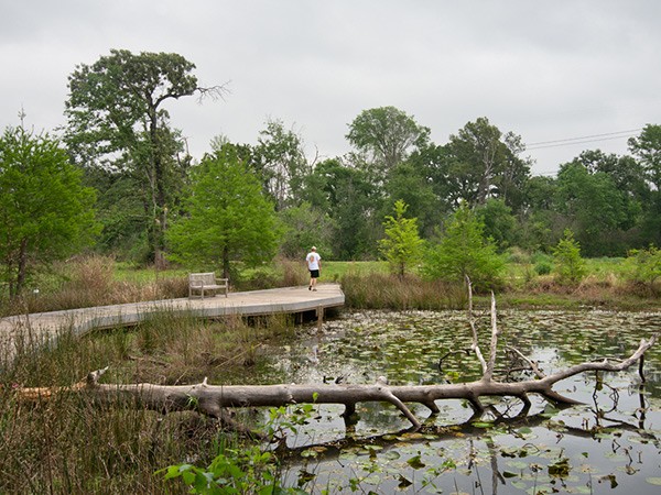 Houston Arboretum and Nature Center | TCLF