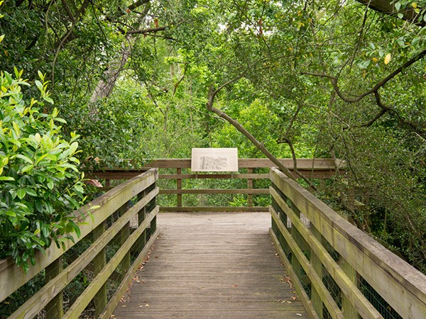 Houston Arboretum and Nature Center | TCLF