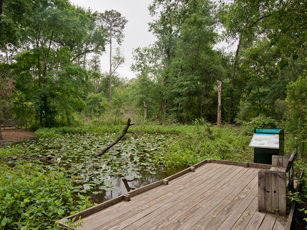 Houston Arboretum and Nature Center | TCLF
