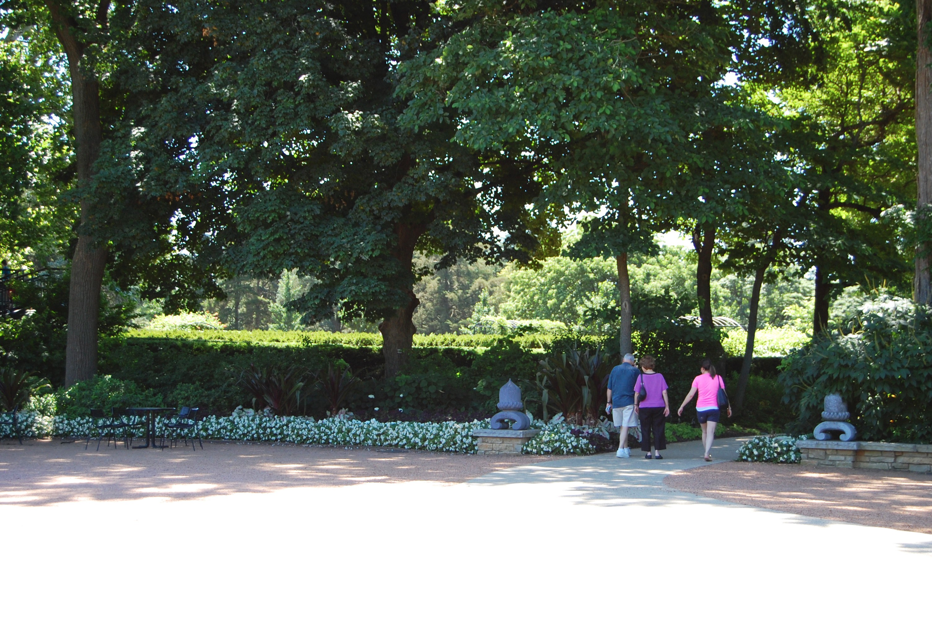 Morton Arboretum | TCLF