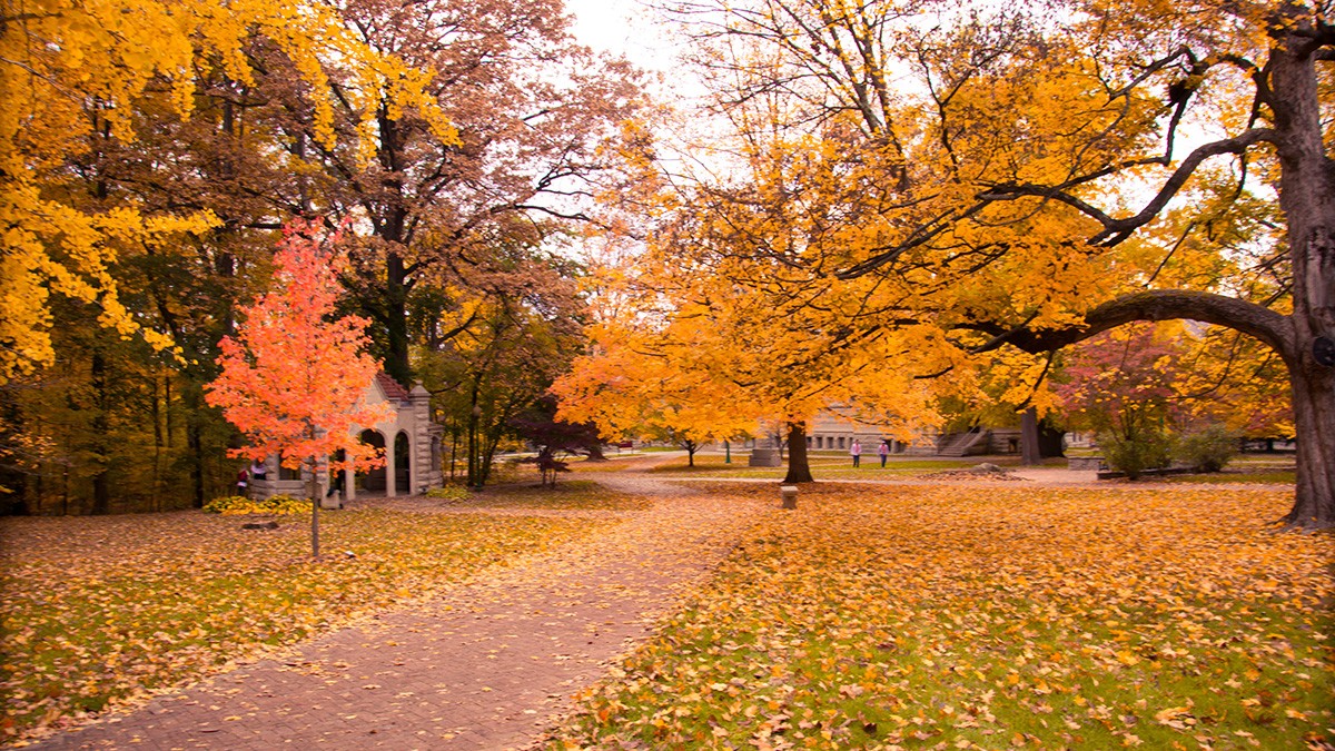 Indiana University | TCLF