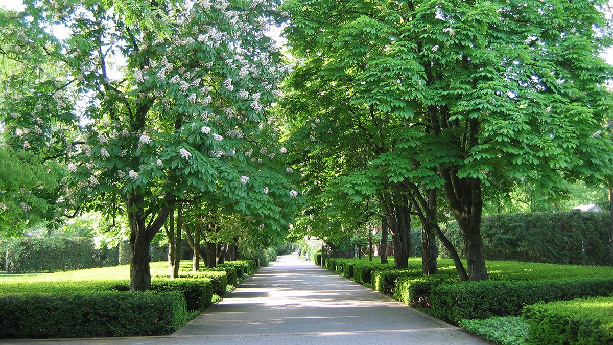 Miller Garden | TCLF