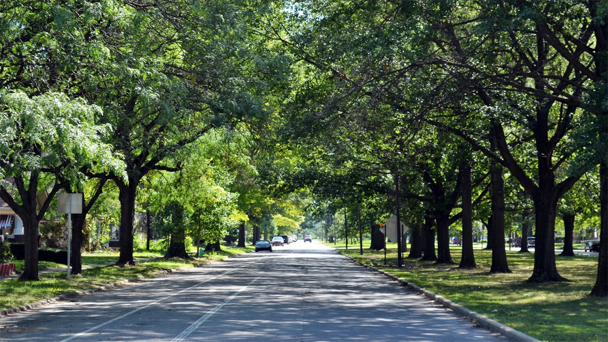 Indianapolis Park and Boulevard System | TCLF