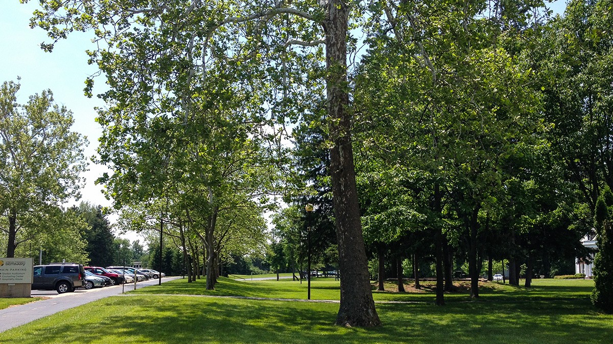 Christian Theological Seminary | TCLF