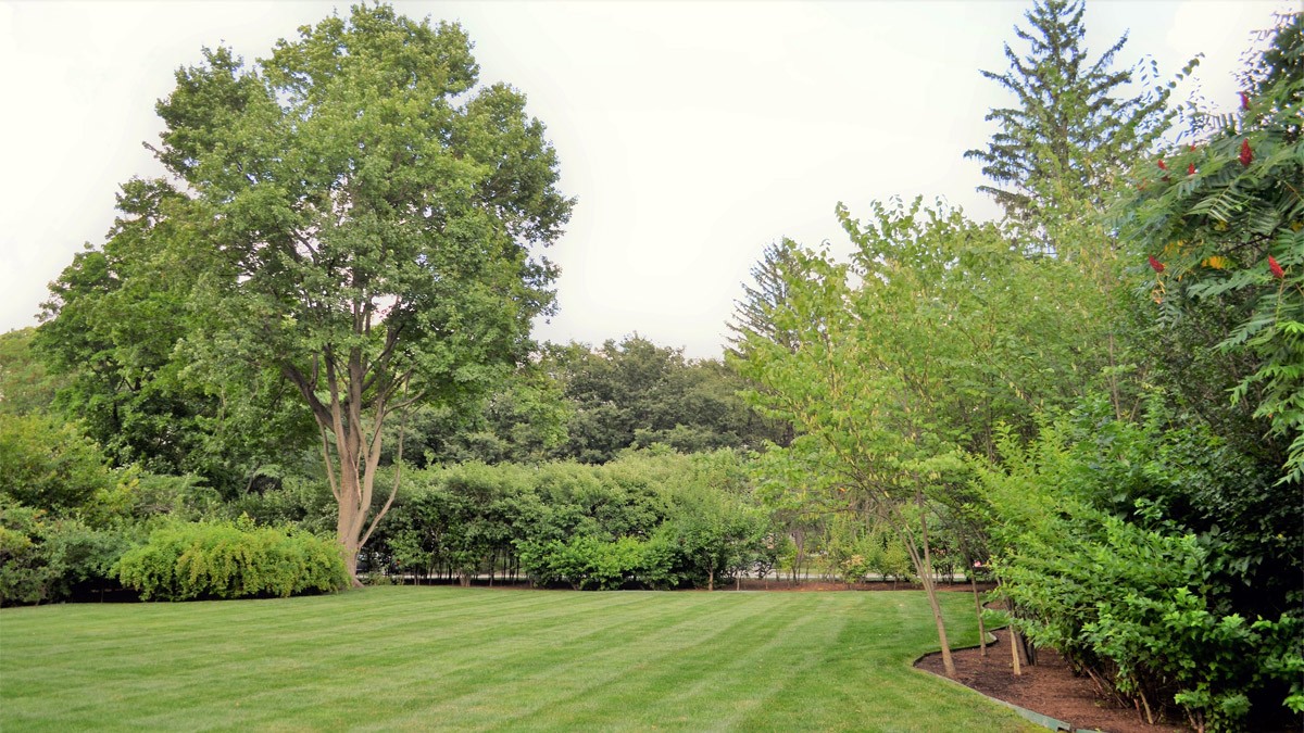 Sloan Residence | TCLF