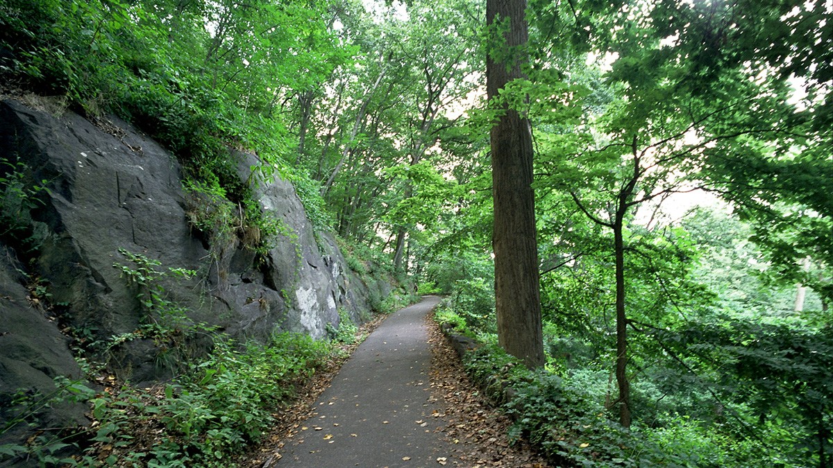 Inwood Hill Park | TCLF
