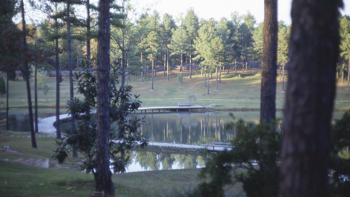 Lewis James Clarke | TCLF