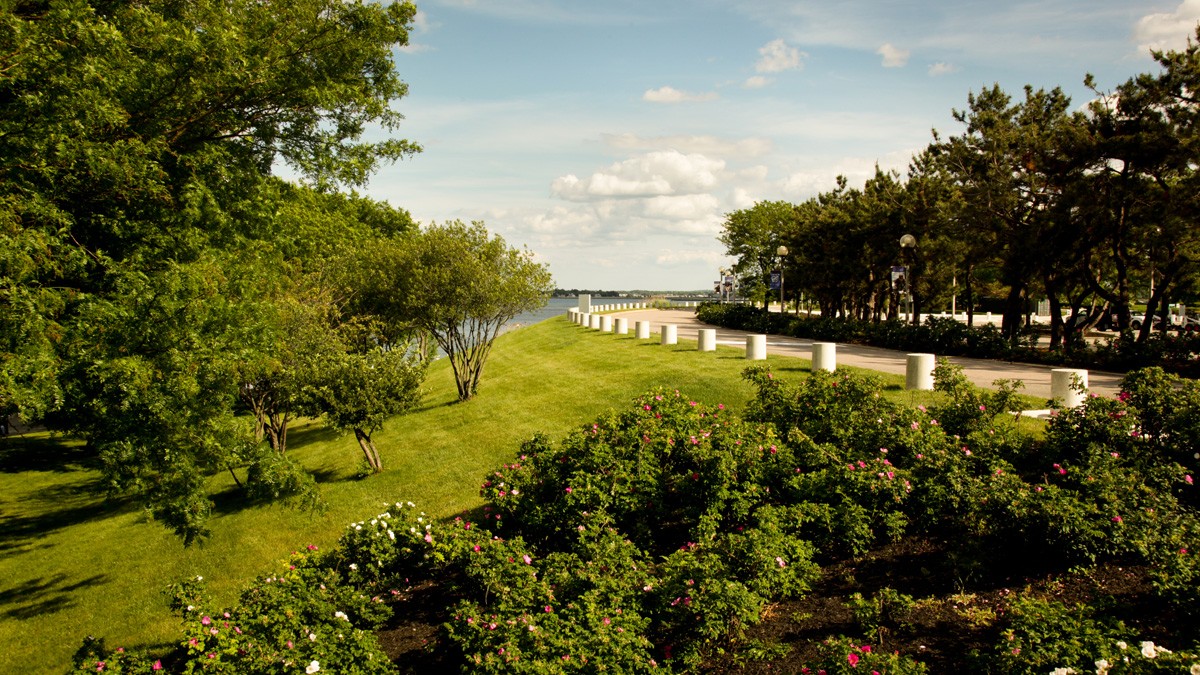 Peter Ker Walker | TCLF