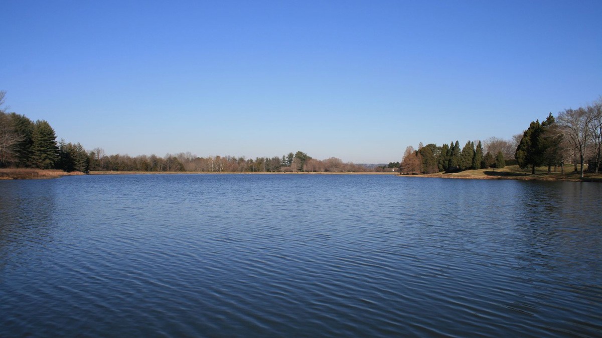Bernheim Arboretum and Research Forest | TCLF