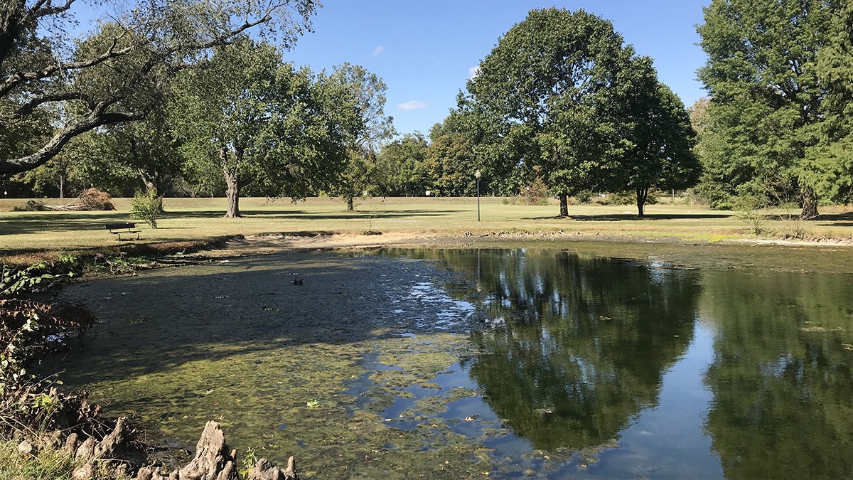 Louisville Parks and Parkways System | TCLF