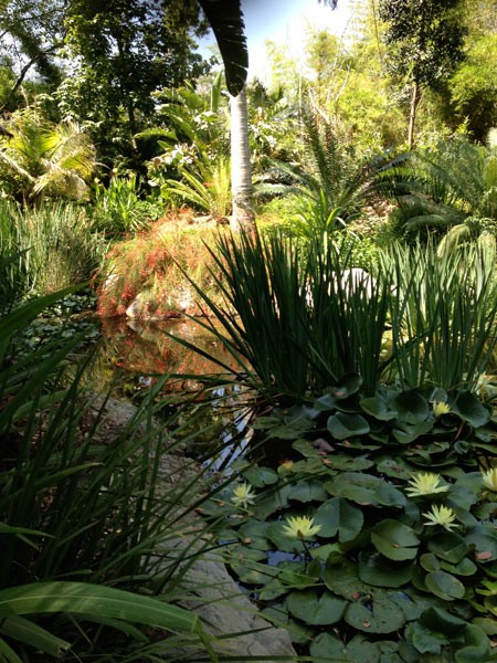 Los Angeles County Arboretum & Botanic Garden | TCLF