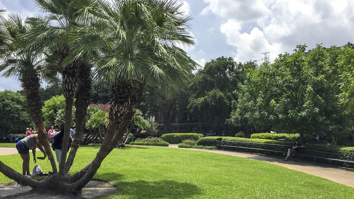 Jackson Square | TCLF