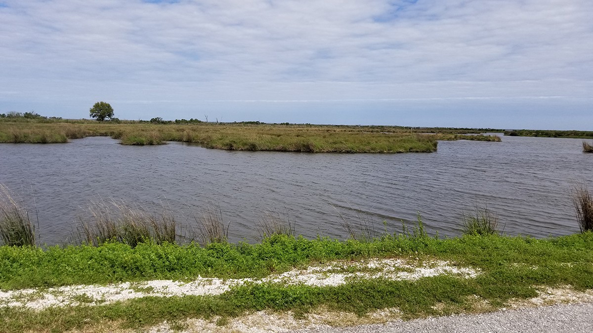 Isle de Jean Charles | TCLF