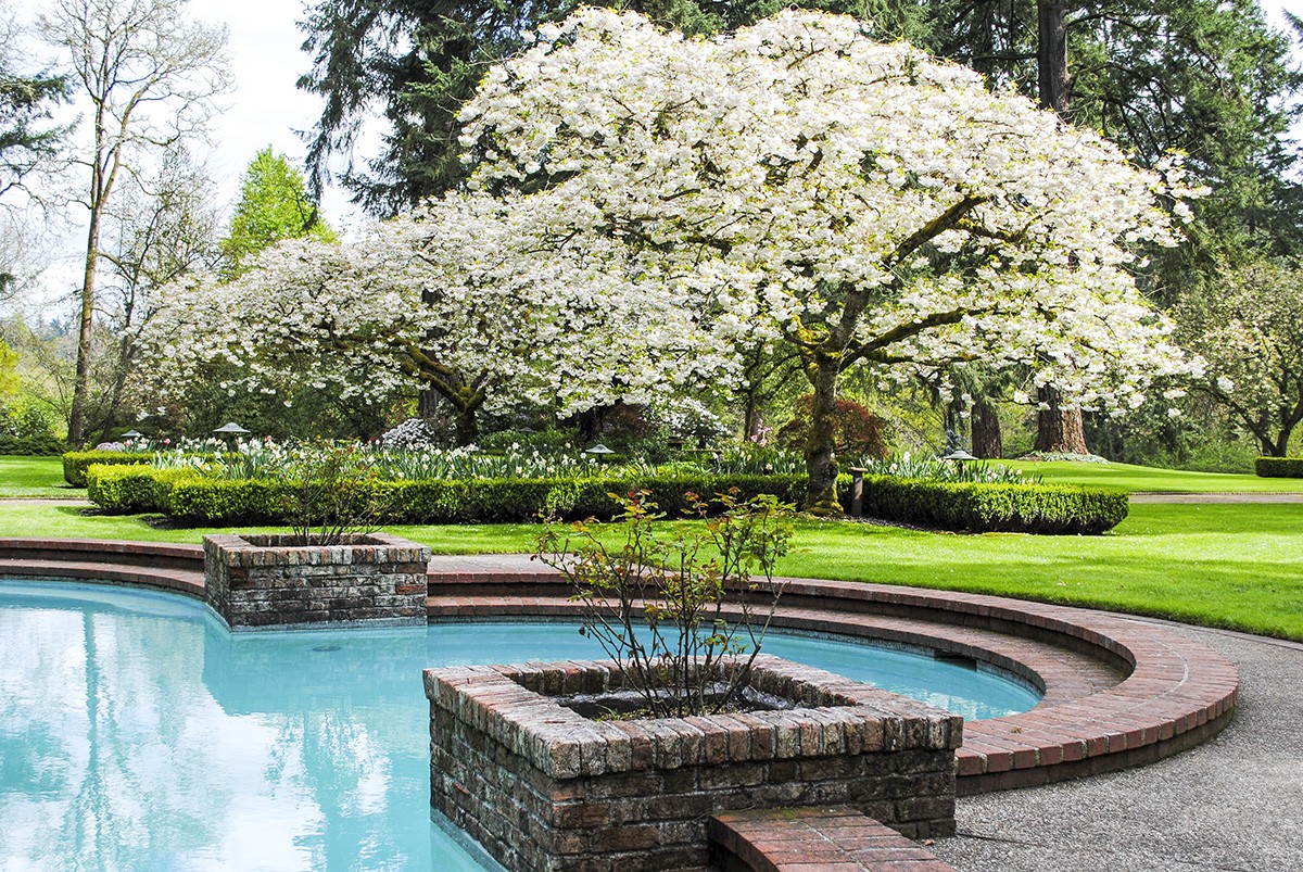 Geoffrey Platt | TCLF