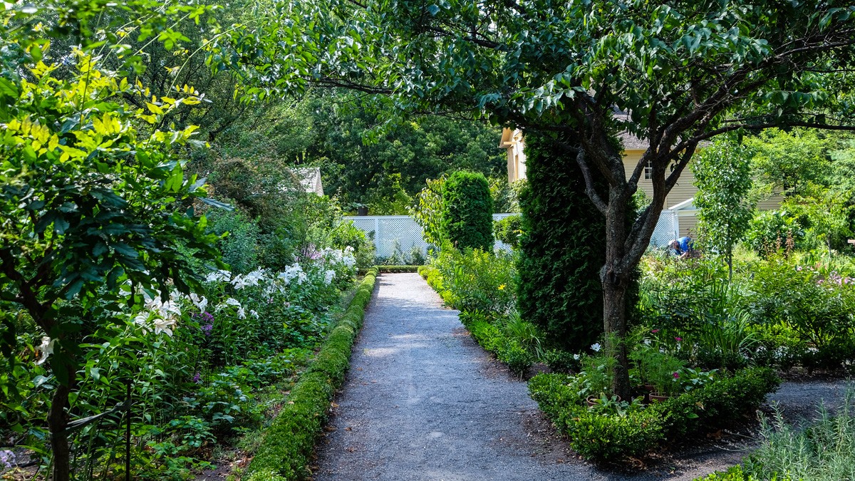 Longfellow House - Washington's Headquarters National Historic Site | TCLF