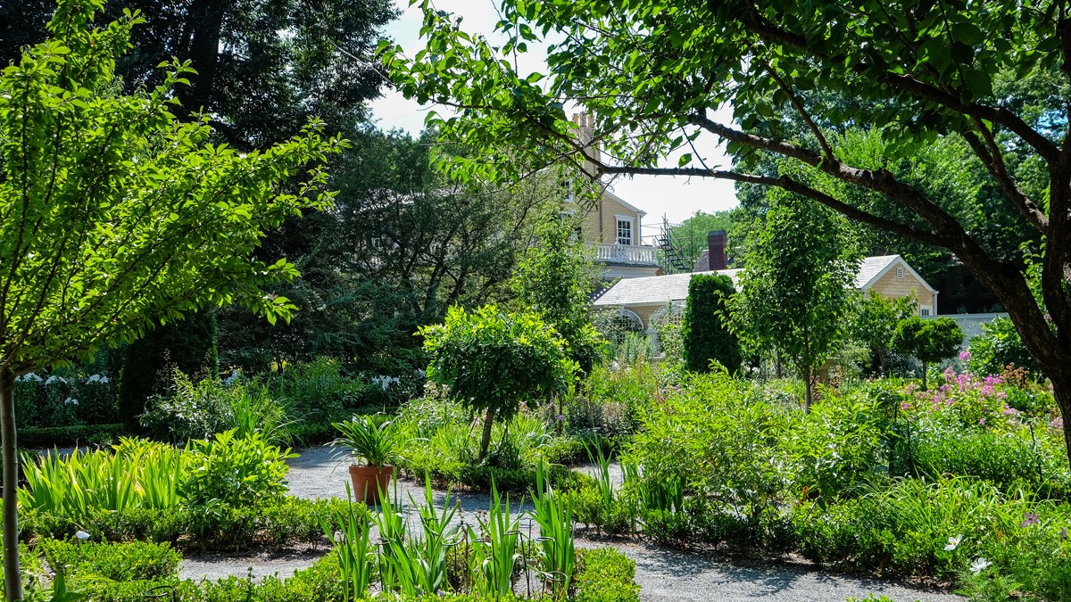 Longfellow House - Washington's Headquarters National Historic Site | TCLF