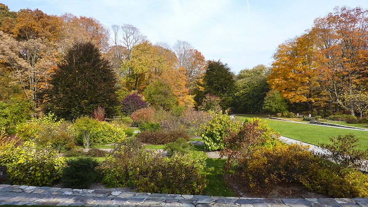 Arnold Arboretum | TCLF