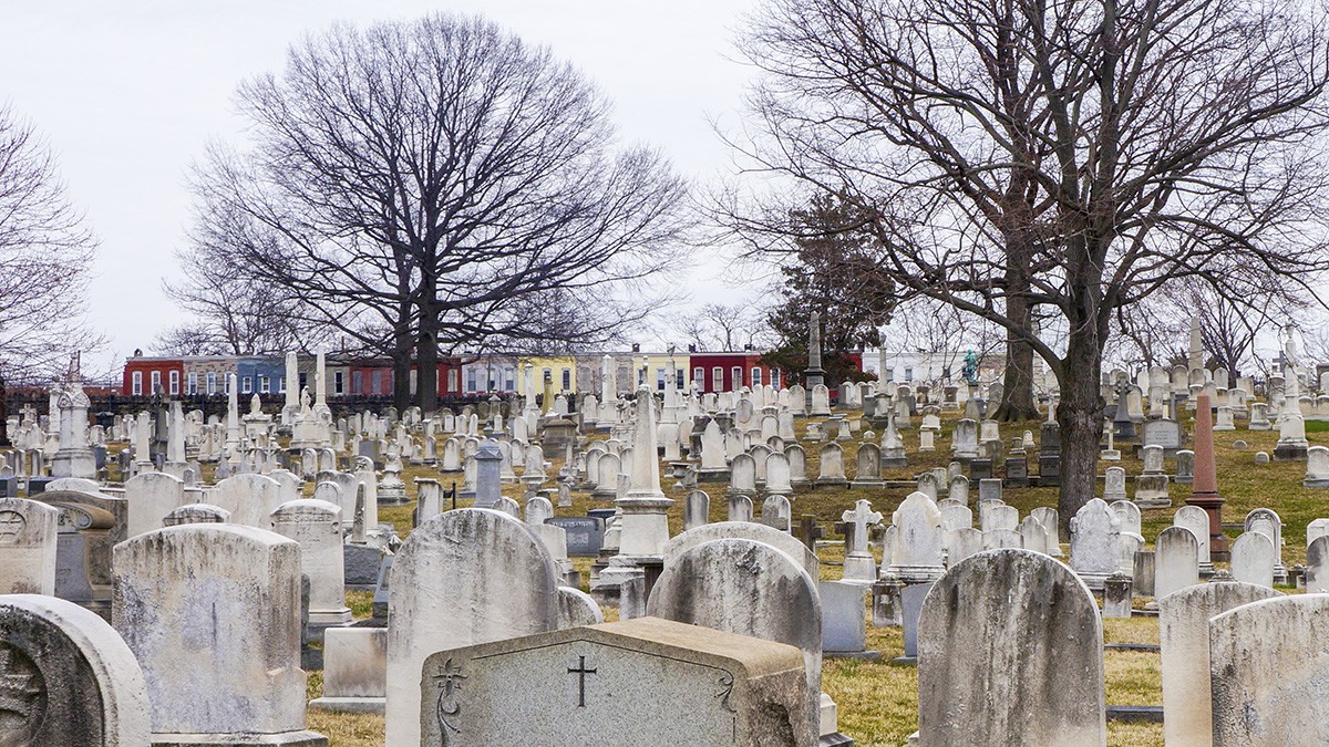 Green Mount Cemetery | TCLF