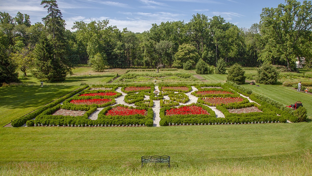 Eliza Ridgely | TCLF