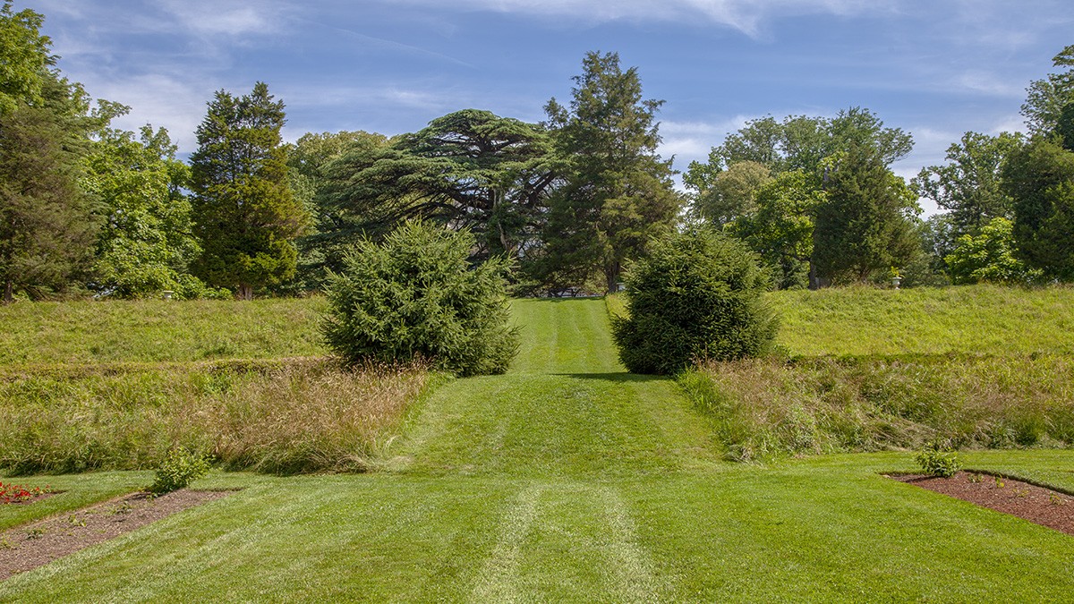 Eliza Ridgely | TCLF