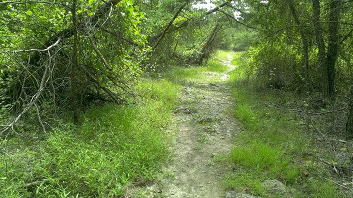 Lake Roland Park | TCLF